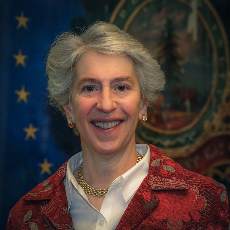 Senate Candidate Interviews | The Vermont Standard